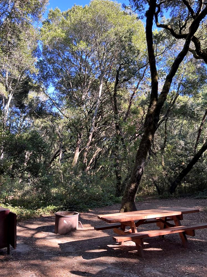 The perfect lunch spot doesn't exi— Oh wait, here it is. Dining al fresco where the ambiance outshines even the finest restaurants.