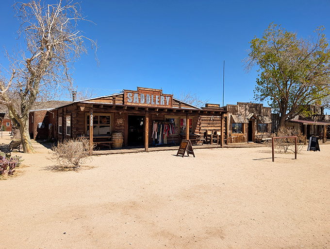 The Pioneertown General Store offers everything from cowboy necessities to quirky souvenirs—proof that retail therapy works even in the Wild West.