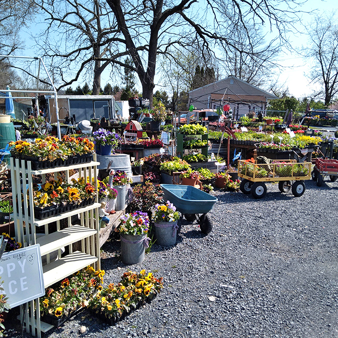 Spring brings an explosion of color to the outdoor plant section, where vintage wagons and garden treasures bloom alongside fresh flowers.