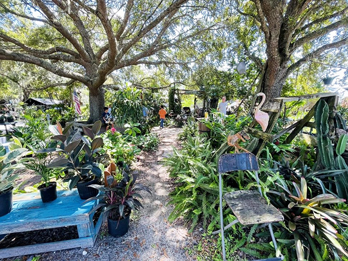 A leafy oasis of potted plants and garden treasures &ndash; where your brown thumb might finally turn green with the right botanical adoption.