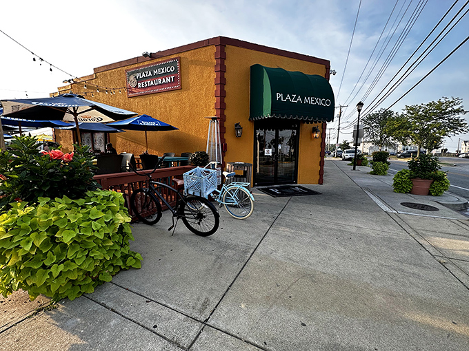 Plaza Mexico brings south-of-the-border flavor to the Chesapeake. Proof that retirement doesn't mean retiring your taste buds.