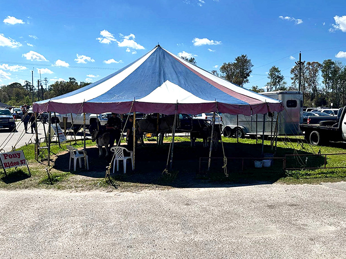 A classic carnival tent brings circus vibes to the market experience, proving Mi Pueblo offers entertainment beyond just shopping.