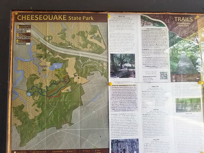 The park's trail map reveals Cheesequake's impressive network of paths and habitats. Like a treasure map where X marks several spots worth discovering.