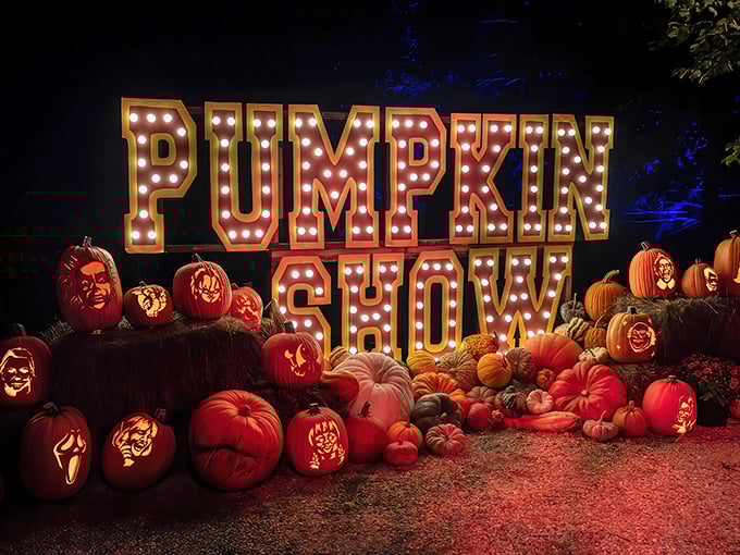 The Pumpkin Show transforms ordinary gourds into extraordinary art, proving Stockbridge knows how to celebrate autumn in style.