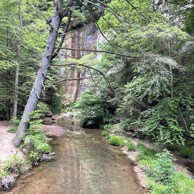 Queer Creek flows with purpose through the gorge, having carved this masterpiece over millennia. Talk about patience paying off spectacularly.