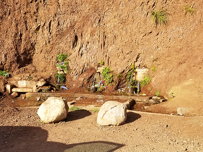 Red Rock Spring—nature's subtle sculpture garden where earth tones create a quiet moment of reflection amid the coastal energy.