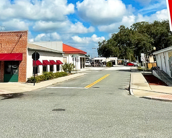 Angled parking and colorful awnings create a downtown straight from a simpler era, where "shopping local" isn't a trendy hashtag but a way of life.