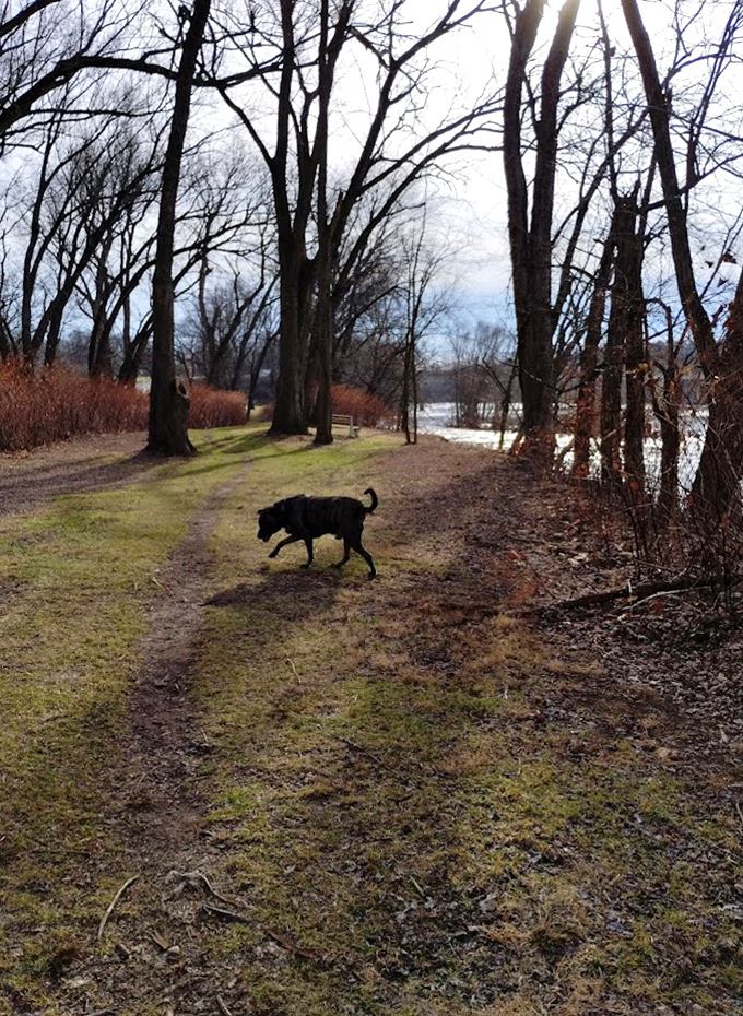 Winter's stark beauty reveals the bones of the landscape. Even in the off-season, this trail offers solitude and canine companionship.