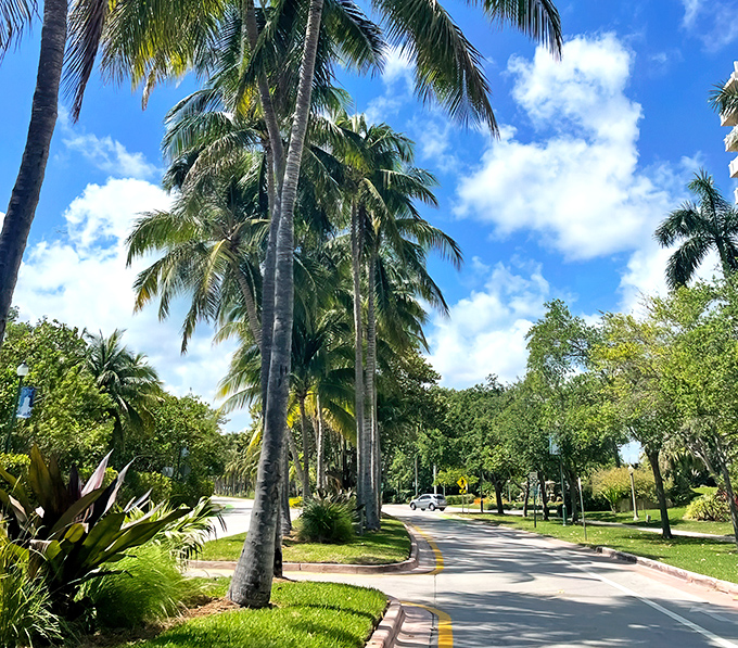 The road to Key Biscayne isn't just a drive&mdash;it's a tropical transformation. With each palm-lined curve, your blood pressure drops another delightful point.