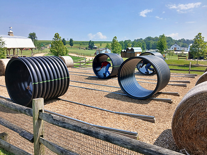 The round bale racer: where children discover the joy of crawling through giant drainage pipes without their parents having heart attacks.