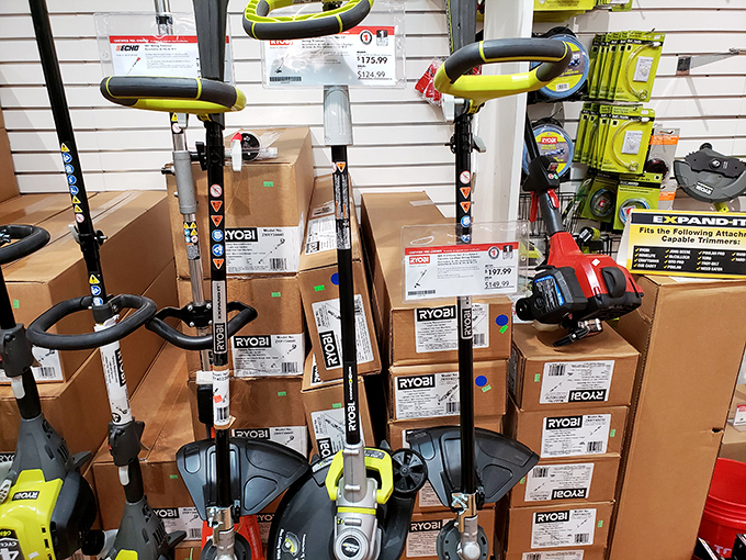 Where suburban dads congregate to debate the merits of various string trimmers while their families hunt for swimwear three stores down.