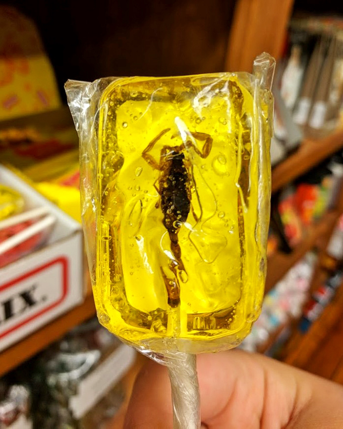 A scorpion sucker&mdash;proof that Amish Country isn't afraid to get weird. This amber-trapped creature is part candy, part conversation starter.