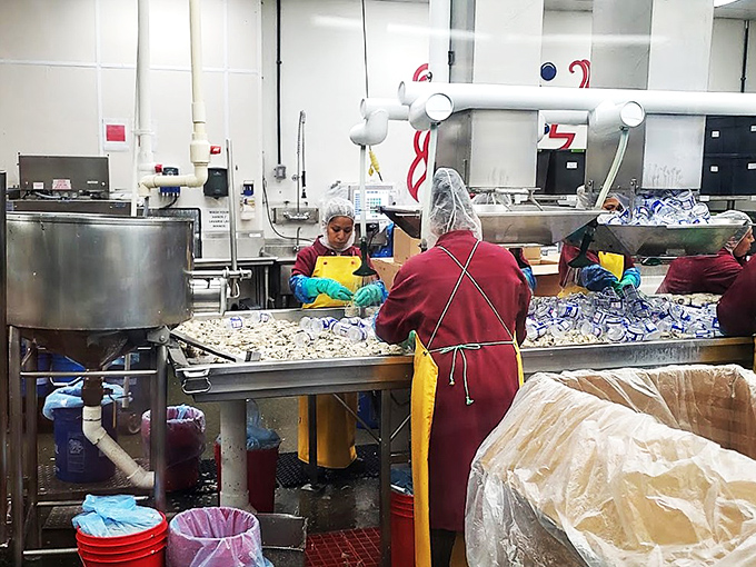 Behind the scenes where the magic happens. Like Willy Wonka's factory, but with oysters instead of chocolate and hairnets instead of top hats.