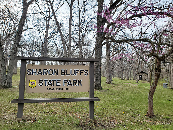 Sharon Bluffs State Park welcomes spring with redbud blossoms and hiking trails that offer better returns than any investment portfolio.