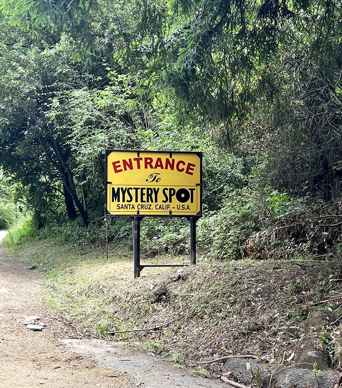 The roadside sign marks the entrance to wonderland. Like Alice's rabbit hole, this unassuming path leads to a world where normal rules don't apply.