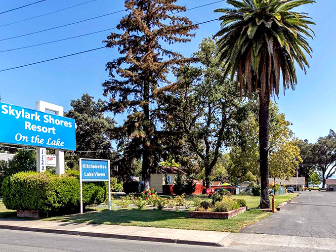 Skylark Shores Resort offers lakeside accommodations without coastal price tags. Where "lake view" isn't just a marketing term but a daily reality.