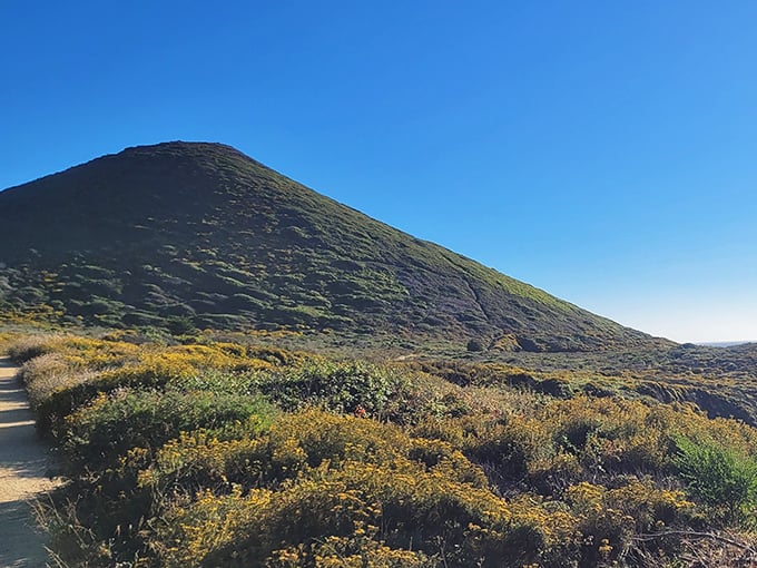 A mountain rising from the coastal scrub like a sleeping giant. The hiking trail says, "I'm worth every drop of sweat, trust me."