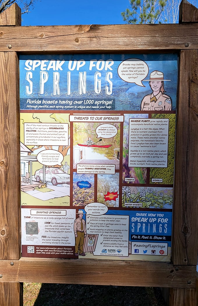 Educational signage that reminds us these springs need our protection. Even paradise requires a little help from its friends.
