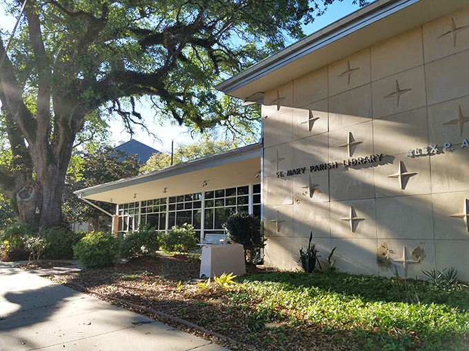 St Mary Parish Library blends mid-century design with live oaks, proving public spaces can be both functional and lovely.