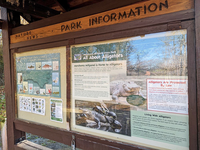 The park's information board &ndash; where "All About Alligators" really means "How Not to Become Alligator Food."