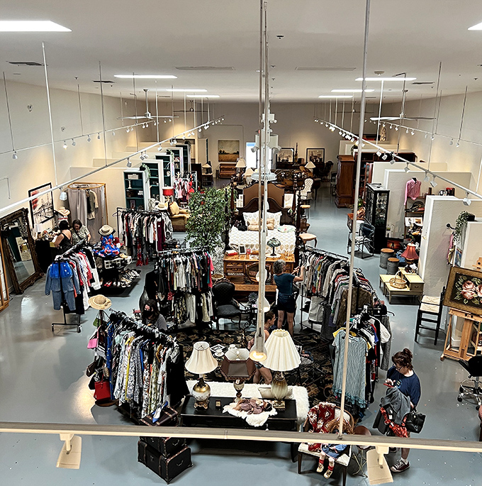 Real shoppers in their natural habitat, hunting for deals with the focus of lions stalking gazelle.