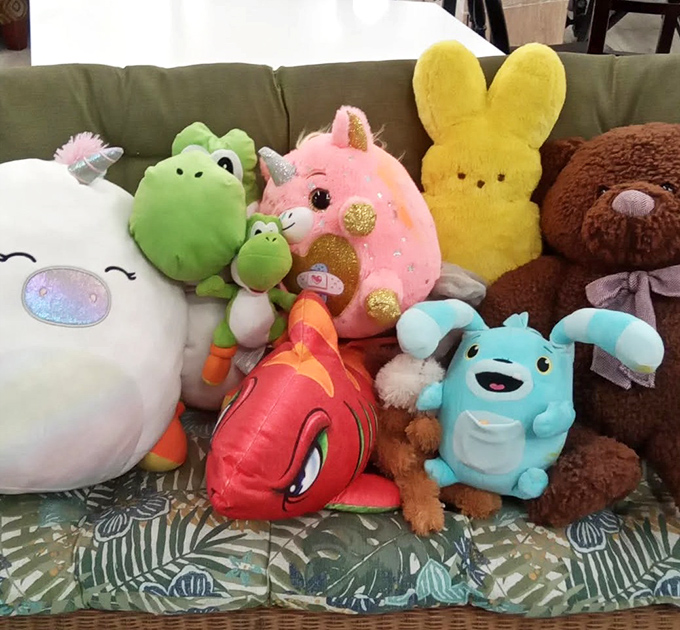 A plush menagerie awaits adoption, each stuffed animal hoping for a second chance at being someone's bedtime companion.