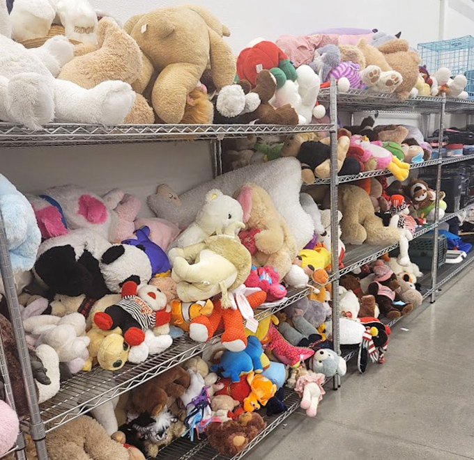 The stuffed animal section resembles a cuddly refugee camp, each plush creature hoping for a second chance at being someone's bedtime companion.