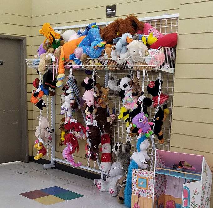 The stuffed animal section &ndash; where childhood companions hang hopefully, waiting for their next adventure with a new best friend.