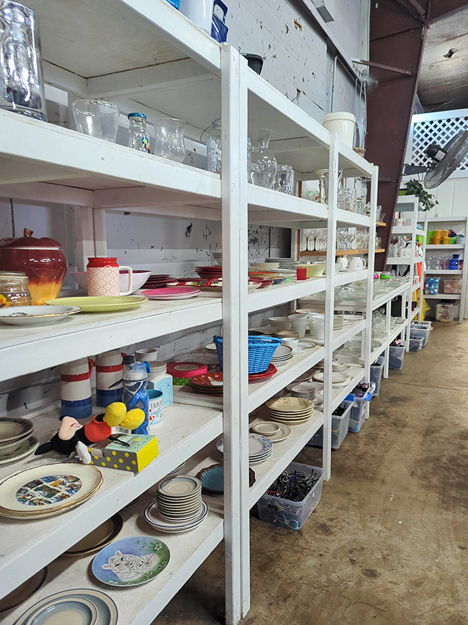 Dishes stacked floor-to-ceiling promise to outfit your kitchen without requiring a second mortgage or buyer's remorse.