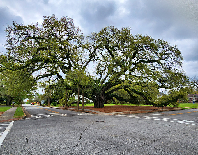Paradise Park's playground equipment stands ready for the universal language of childhood: the joyful screams of kids playing tag.