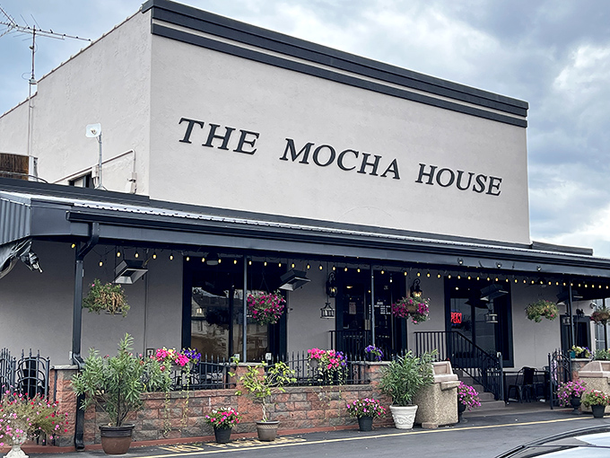 The Mocha House brightens Warren's streetscape with colorful flowers and affordable coffee—proof that simple pleasures needn't break the bank.