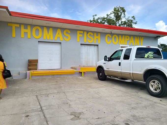 Thomas Fish Company proves that in Florida, the freshest catch doesn't always come from the fanciest seafood restaurant with white tablecloths and tourist prices.