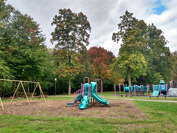 Thomas P. Grater Community Park proves that playgrounds aren't just for kids—they're for parents pretending they're just "supervising" while secretly eyeing the swings.