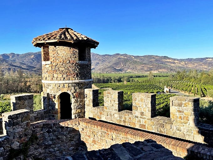 Tower views overlooking vineyards where grapes become magic, and visitors become temporary lords of wine country.
