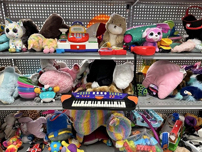 Stuffed animal adoption center where forgotten fuzzy friends wait patiently for new homes. That keyboard might still have some tunes left in it!