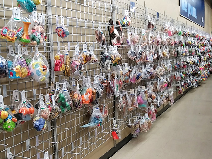 Toys in plastic bags hang like colorful fruit, ripe for the picking by imaginative kids and nostalgic adults alike.