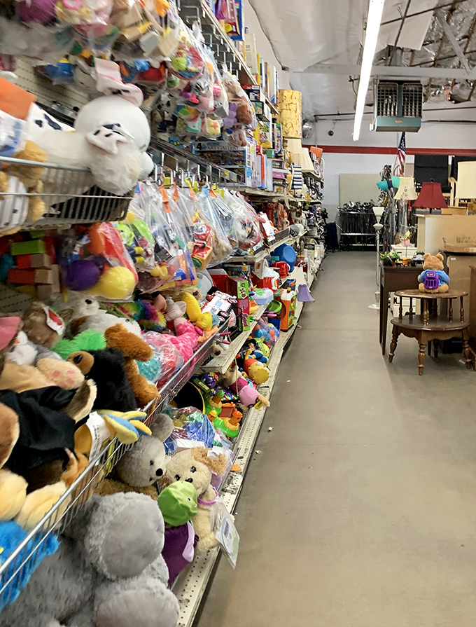 Stuffed animal paradise where pre-loved teddy bears and plush pals hope for second chances at childhood cuddles.