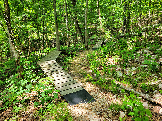 These wooden pathways through the forest aren't just trails&mdash;they're portals to discover your inner woodland sprite.