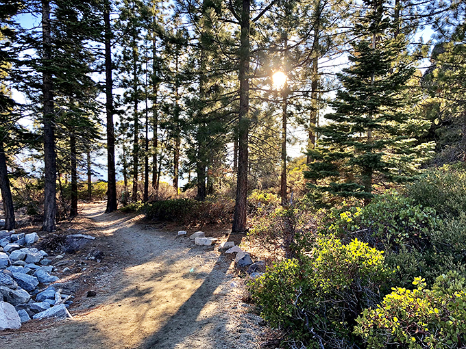 Forest trails dappled with golden sunlight practically beg you to take a peaceful stroll through this mountain paradise.