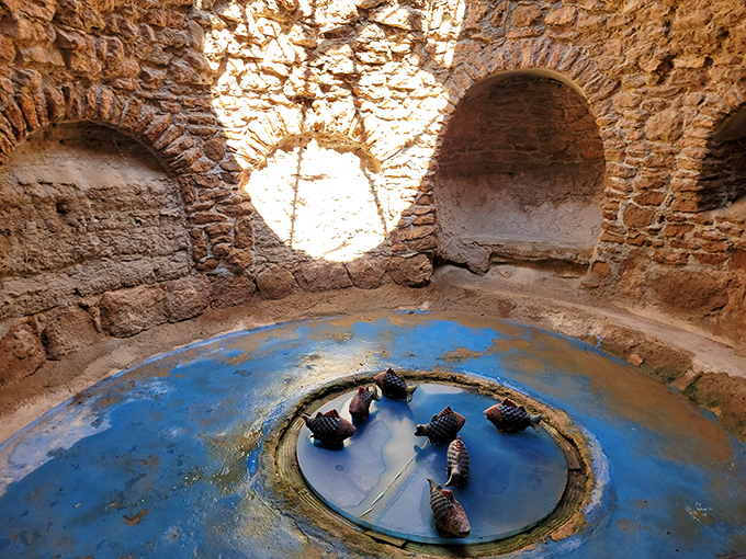 This multi-level aquarium grotto carved entirely by hand shows that even fish deserved architecturally interesting homes in this underground world.