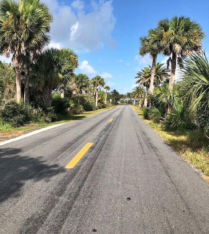 Rows of royal palms stand like elegant exclamation points against the blue sky, nature's way of saying "You've arrived!"