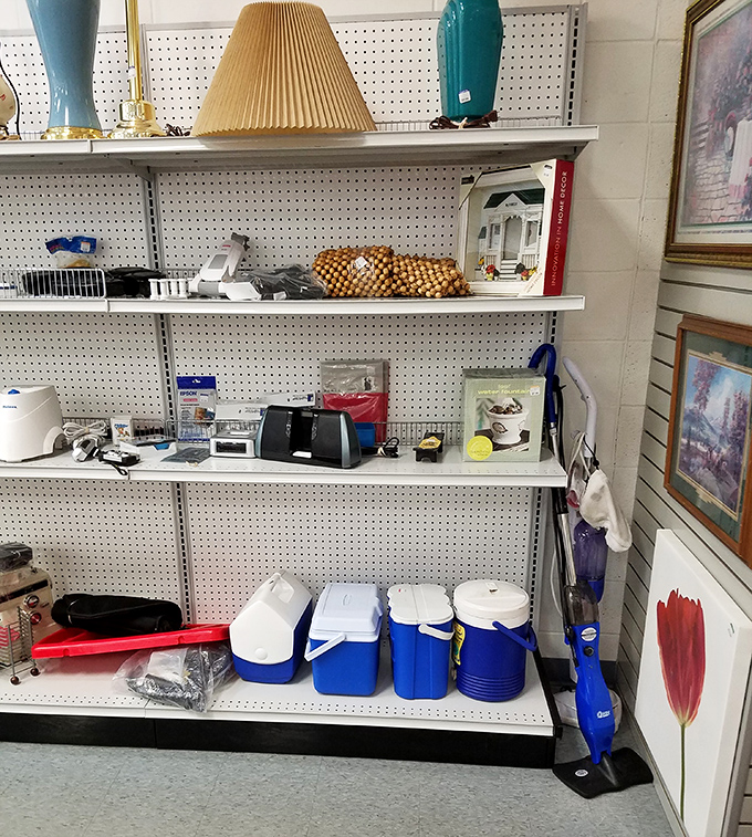Small appliances with big potential line these shelves. That bread maker someone used twice could become your Sunday morning ritual.