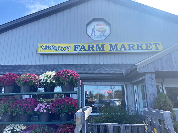 The Farm Market's colorful mums announce fall's arrival. Local produce and friendly faces make this more than just a shopping stop.