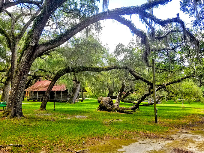 Veteran's Memorial Park honors service with quiet dignity, where moss-draped oaks create natural cathedral ceilings above hallowed ground.
