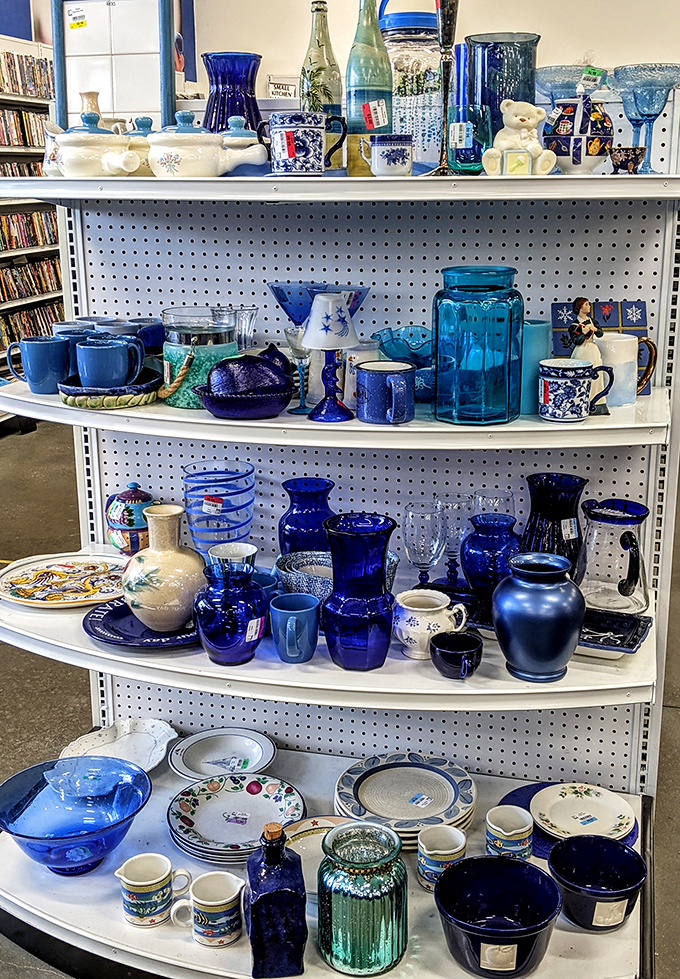 A collection of cobalt blue treasures grouped together like they're planning a comeback tour of someone's grandmother's favorite color.