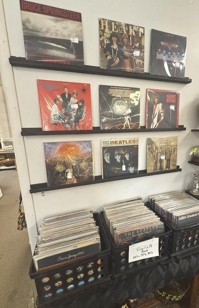 Bruce Springsteen and The Beatles prove that some treasures transcend generations and vinyl formats alike.