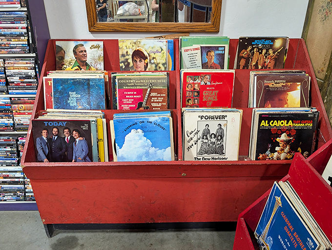 Vinyl records in their vibrant sleeves offer a rainbow of musical history&mdash;from Elvis to Earth, Wind & Fire&mdash;all waiting for their next spin.