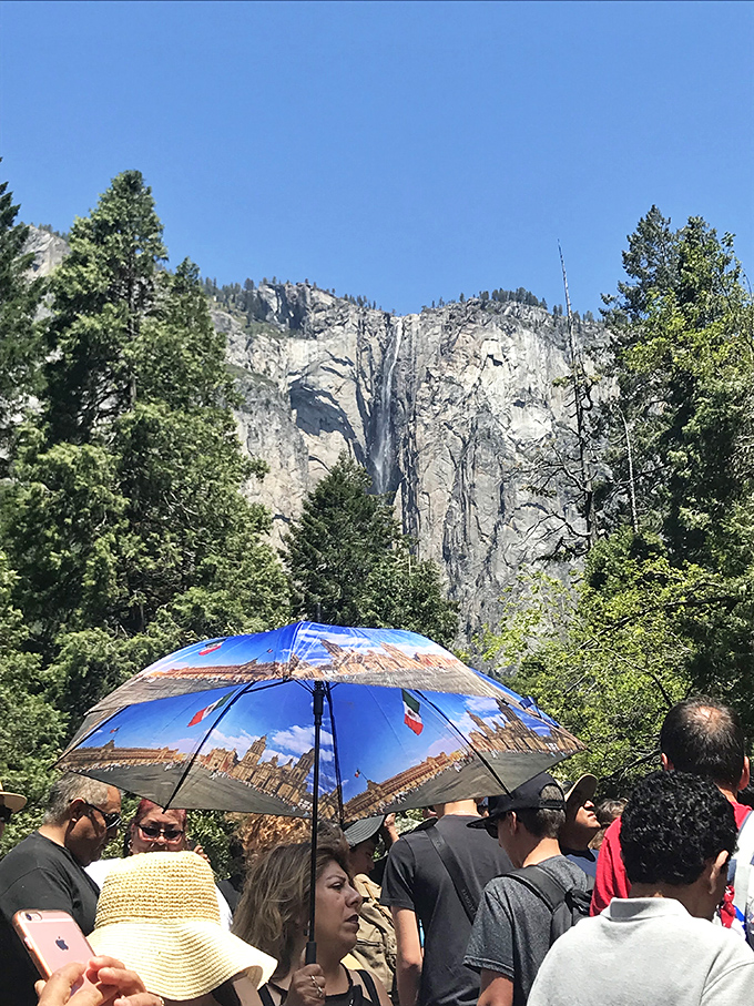 Crowd-sourced awe: Even in our digital age, nothing compares to standing shoulder-to-shoulder with fellow humans, experiencing Bridalveil's majesty firsthand.