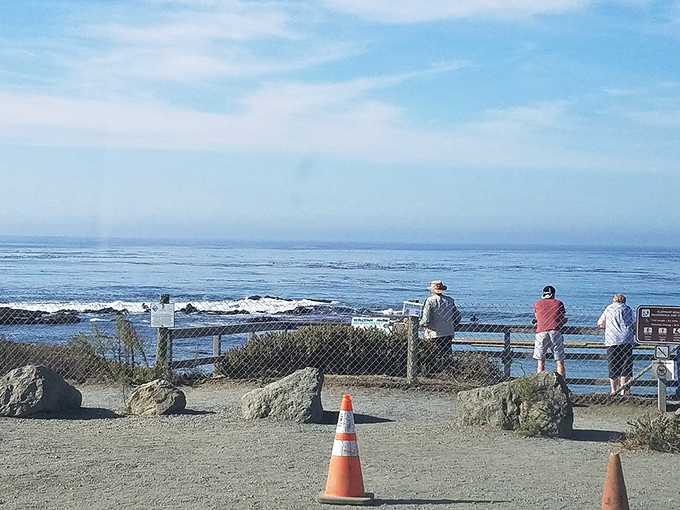 Ocean watchers gather at the viewpoint, their postures revealing the universal human response to the sea&mdash;quiet contemplation and awe.