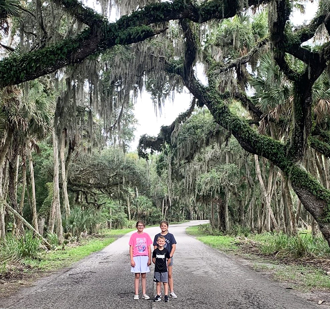 The Spanish moss creates nature's cathedral ceiling along this road. Even teenagers might look up from their phones here.